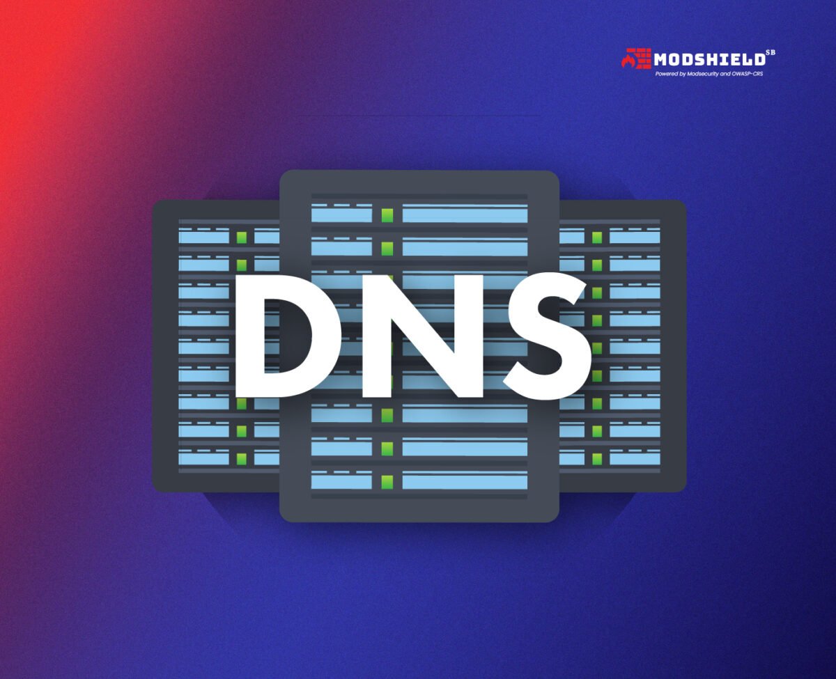 DNS Tunneling – Definition, Detection, & Prevention | Modshield SB